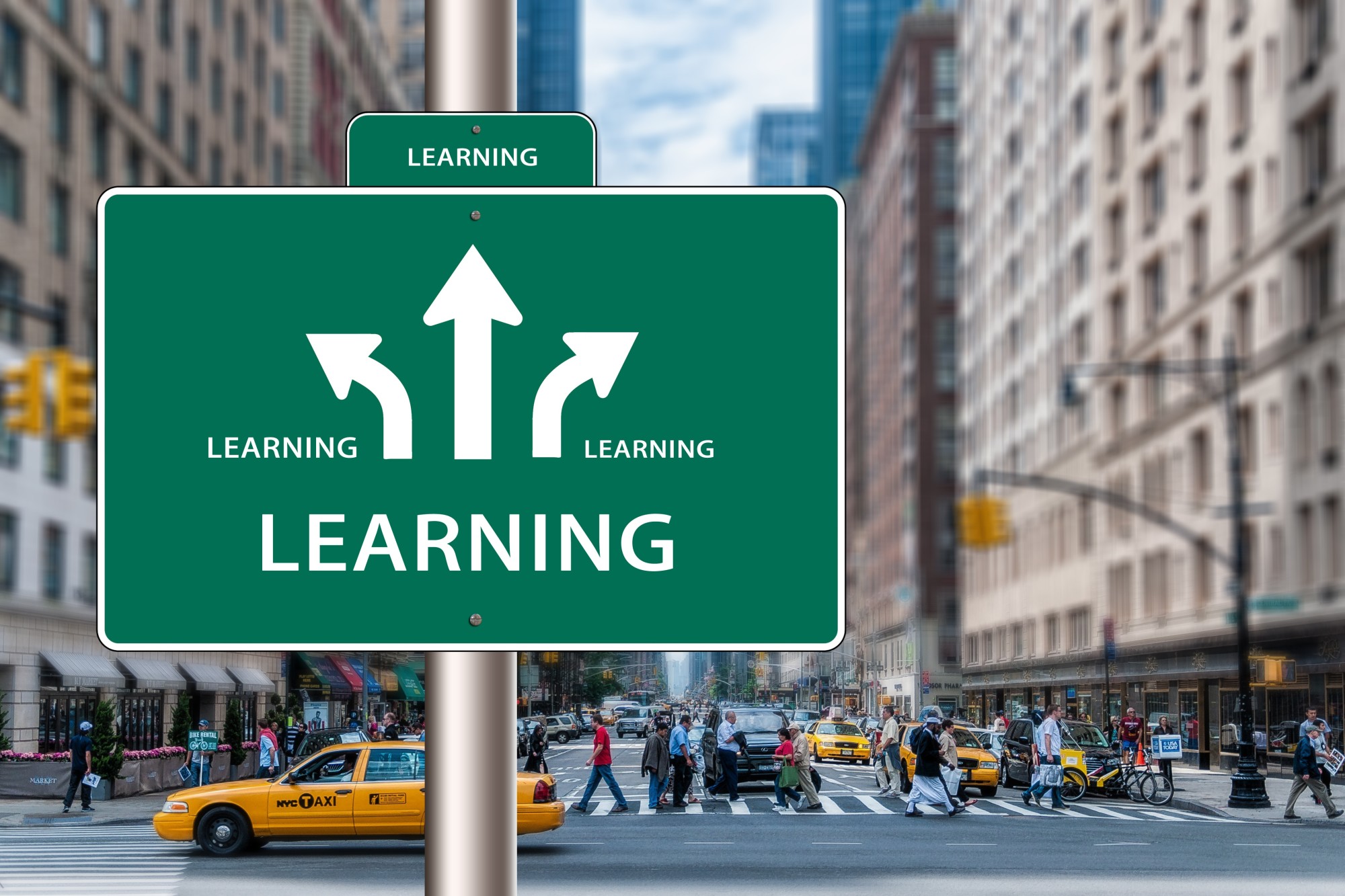 Does Traffic School Reduce Fines? What You Need to Know